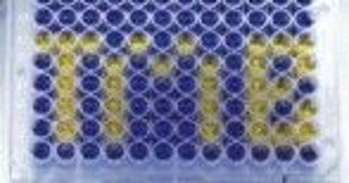 TMB ONE - Standard reviews