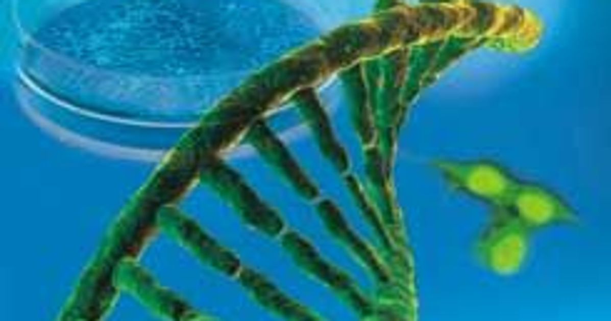 New Reagents Provide High Efficiency and High Cell Survival Rates