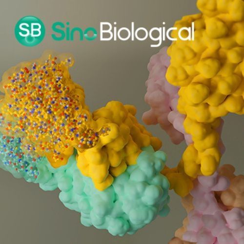 Beacon® Single B Cell Screening Platform | SelectScience