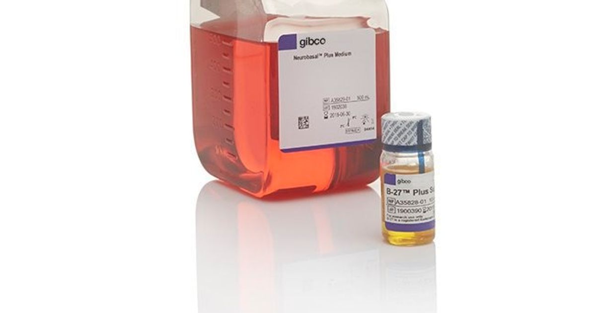 Gibco™ B-27 Plus Neuronal Culture System | SelectScience
