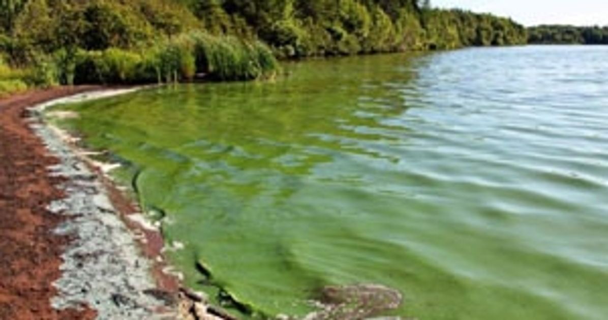 Accelerating Sample Preparation for Determination of Water Toxins