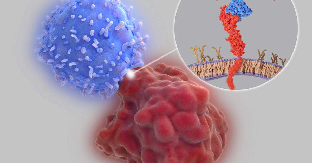 Buy Immune Checkpoint Proteins Read Reviews