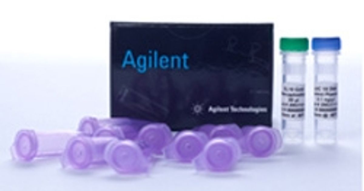 BL21-CodonPlus Expression Competent Cells reviews