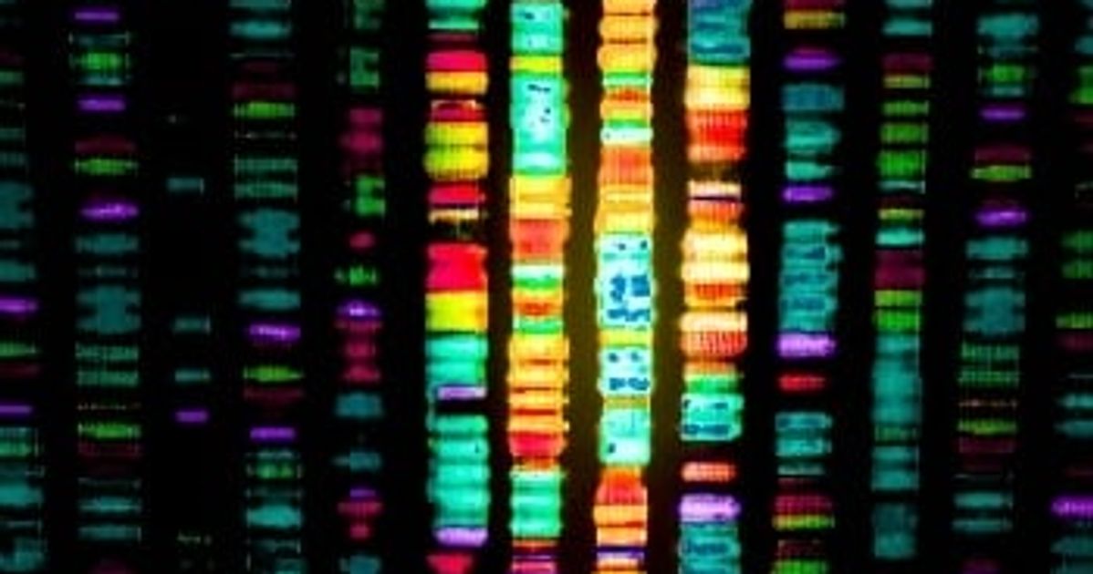 Roche Launches NGS AVENIO Tumor Tissue Analysis Kits for Oncology Research