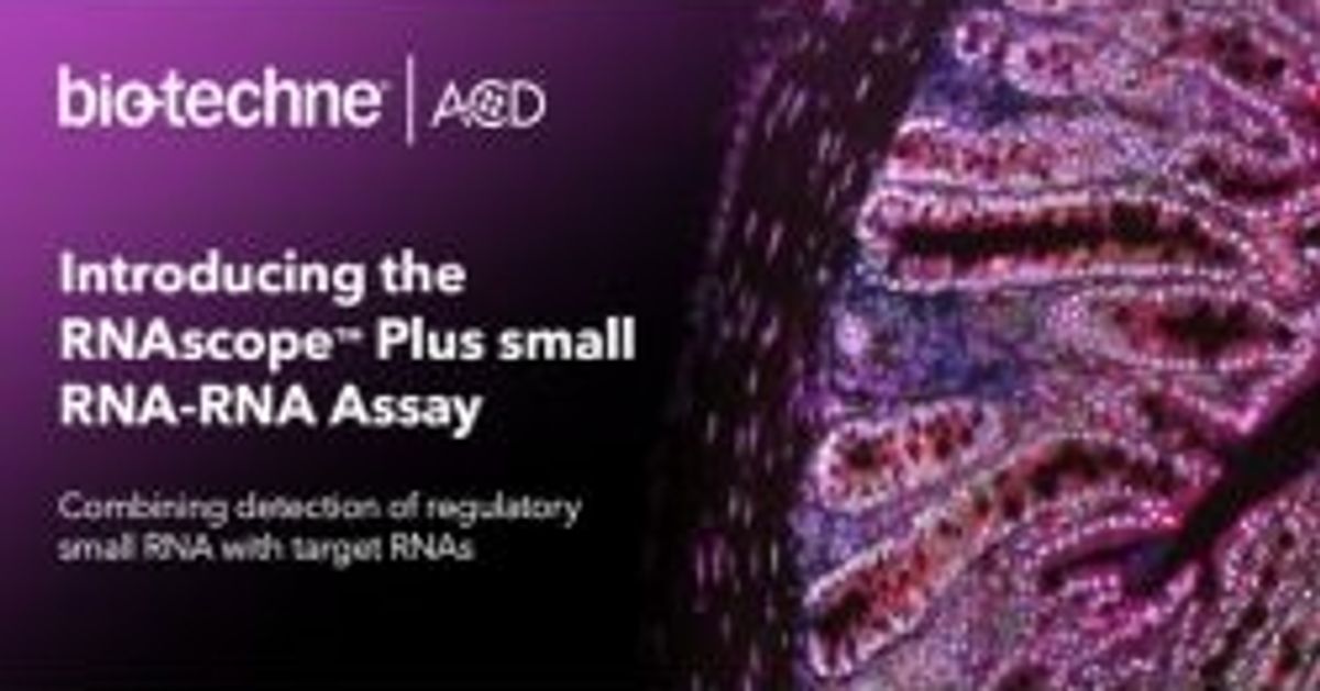 RNAscope Plus smRNA-RNA assay