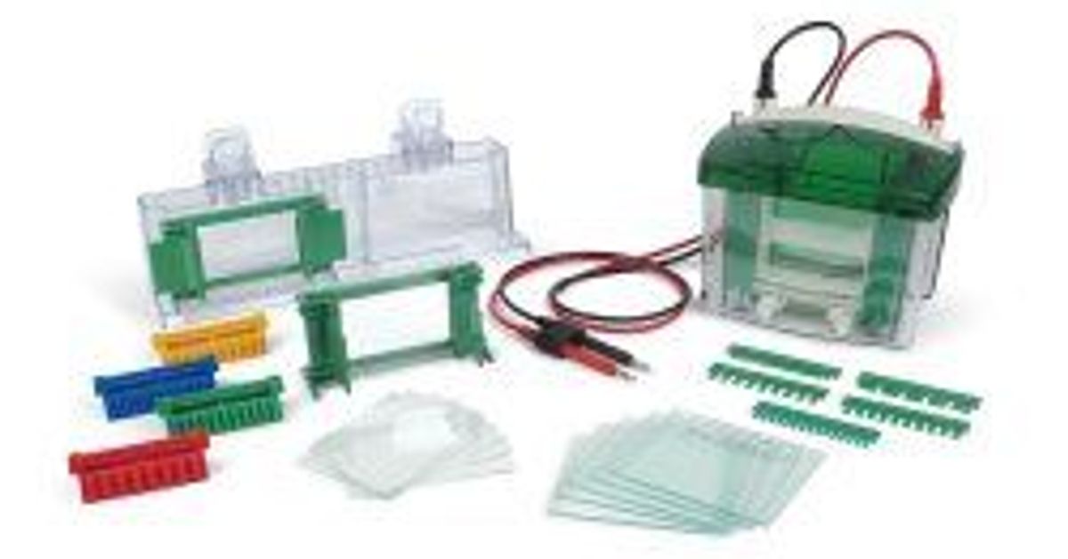 Bio-Rad introduces next generation Mini-PROTEAN Tetra Cell instrument