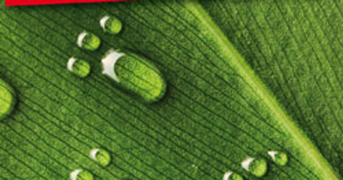 KNAUER to Present the Latest UHPLC and HPLC Systems and Purification ...