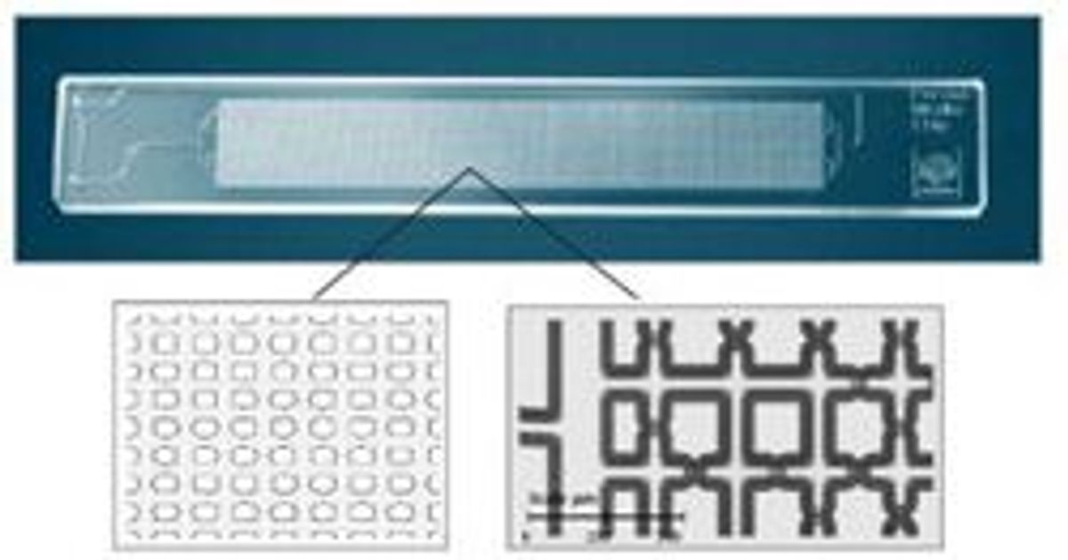 Dolomite Launches the New Porous Media Chip Providing Rapid Advances in ...