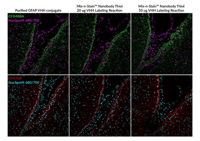 Mix-n-Stain™ Nanobody Thiol Labeling Kits reviews