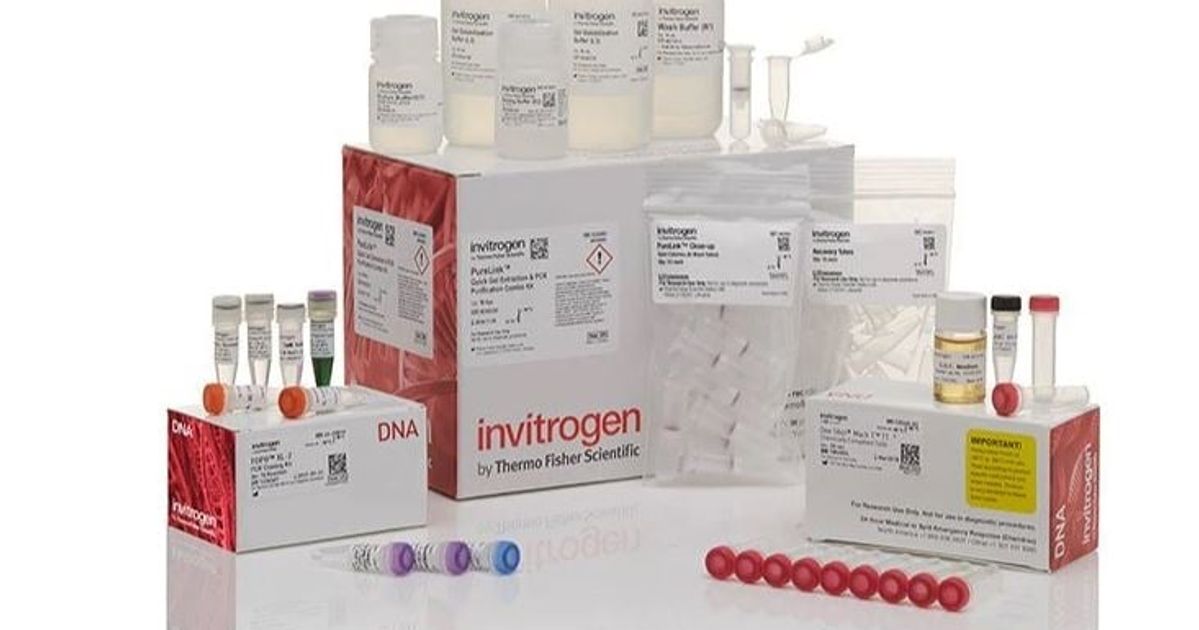 TOPO™ XL-2 Complete PCR Cloning Kit, with One Shot™ OmniMAX™ 2 T1R ...