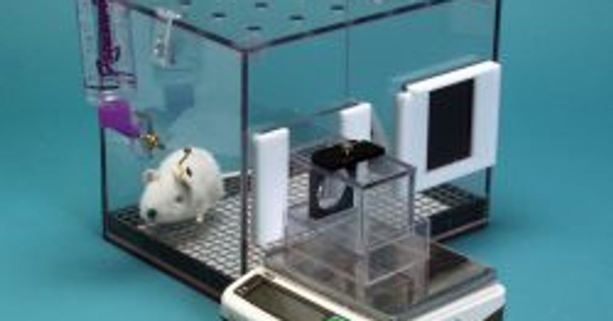 Food & Liquid Consumption System
