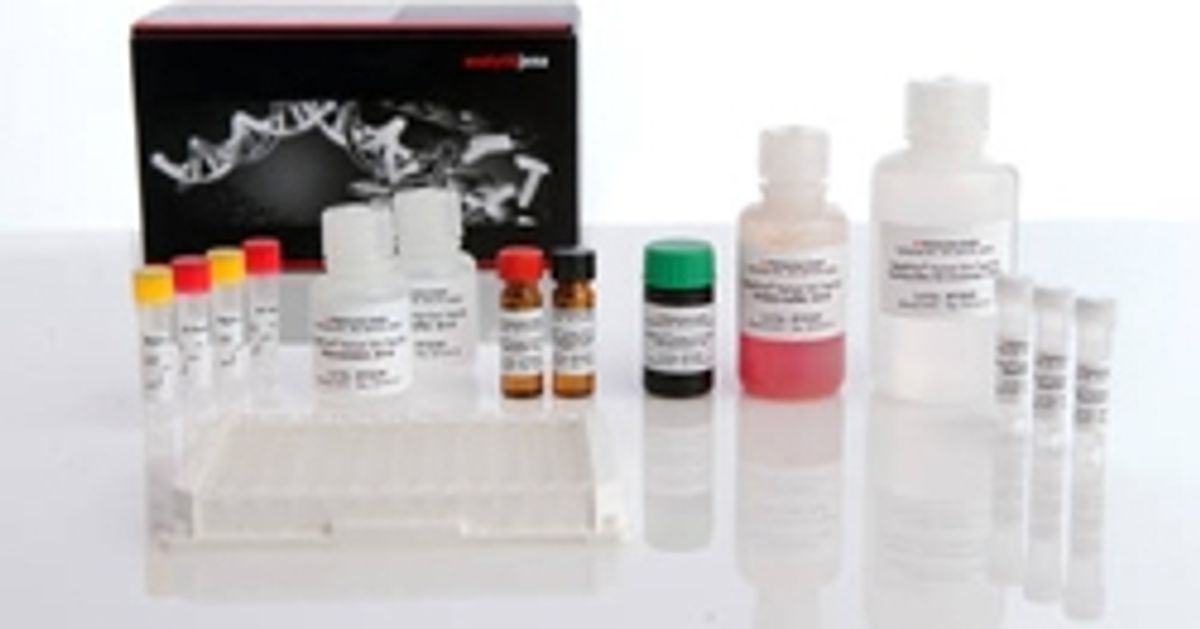 Analytik Jena Launches CE IvD Kits for Dementia Diagnostics