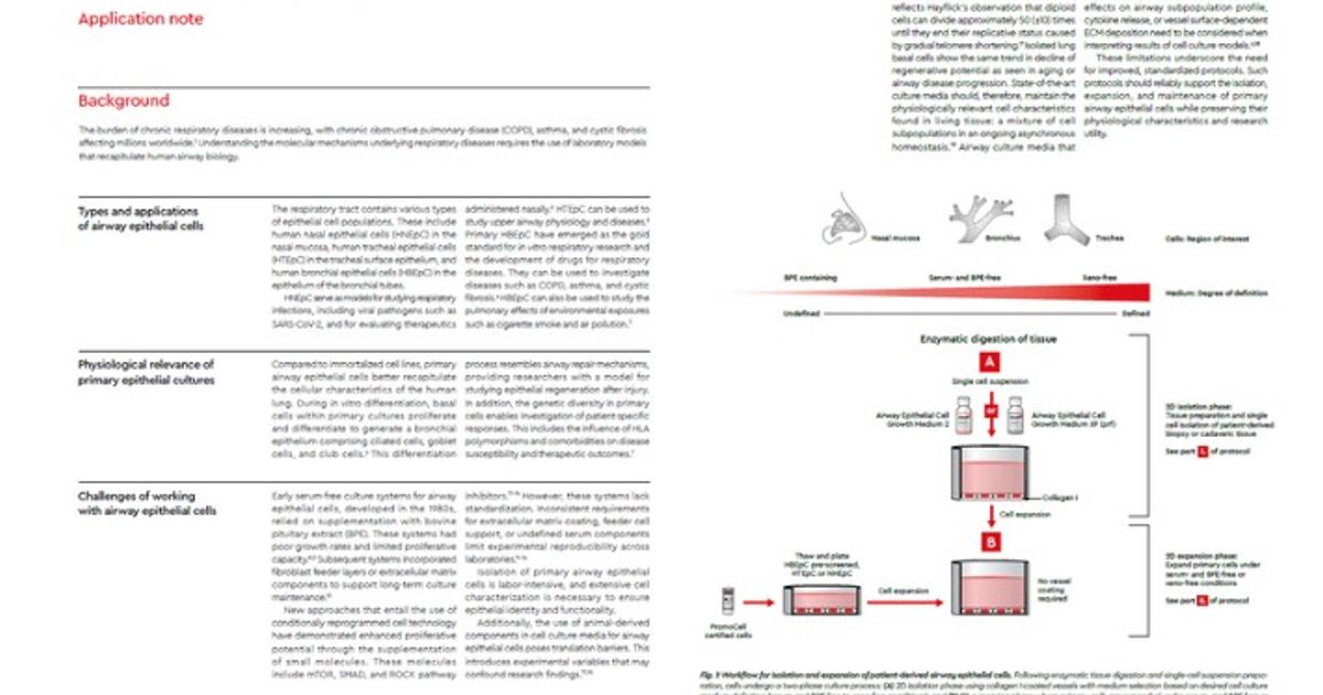 Isolation & expansion of primary airway epithelial cells
