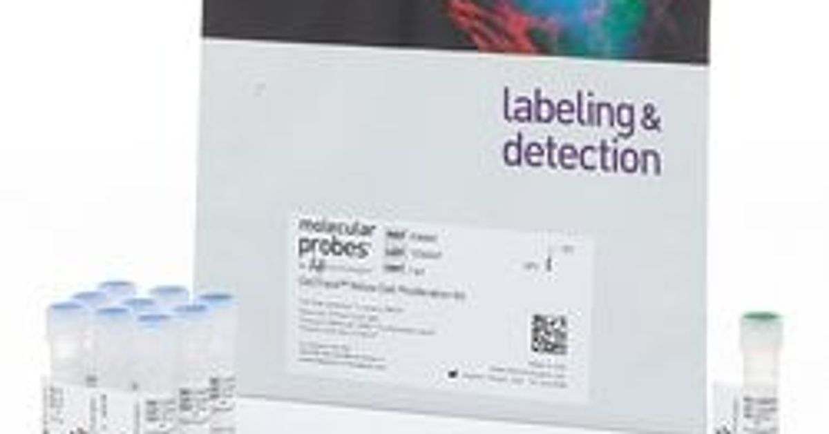 Invitrogen™ CellTrace™ Yellow Cell Proliferation Kit