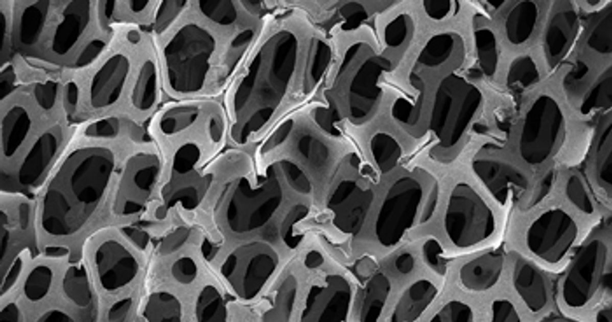 ZEISS Introduces Latest FE-SEM Technology: GeminiSEM 450