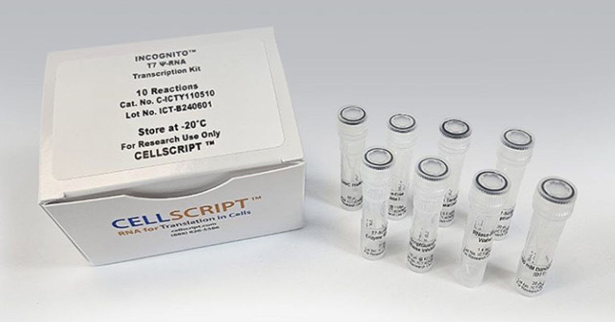 Buy INCOGNITO™ T7 Ψ-RNA Transcription Kit Read Reviews