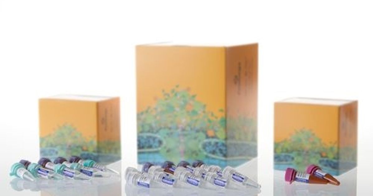 PowerPlex® ESX 17 and ESI 17 Fast Systems