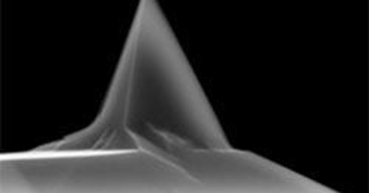 CSG01 AFM Mode Contact Probe