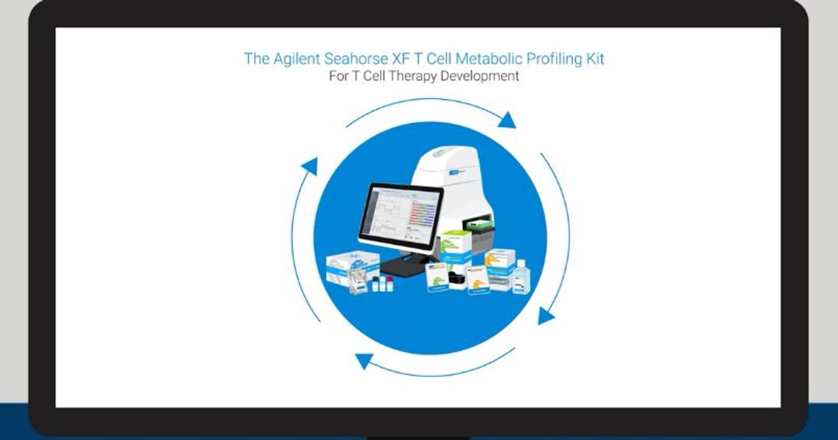 Analyzing T-Cell metabolism using the XF T cell metabolic profiling kit ...