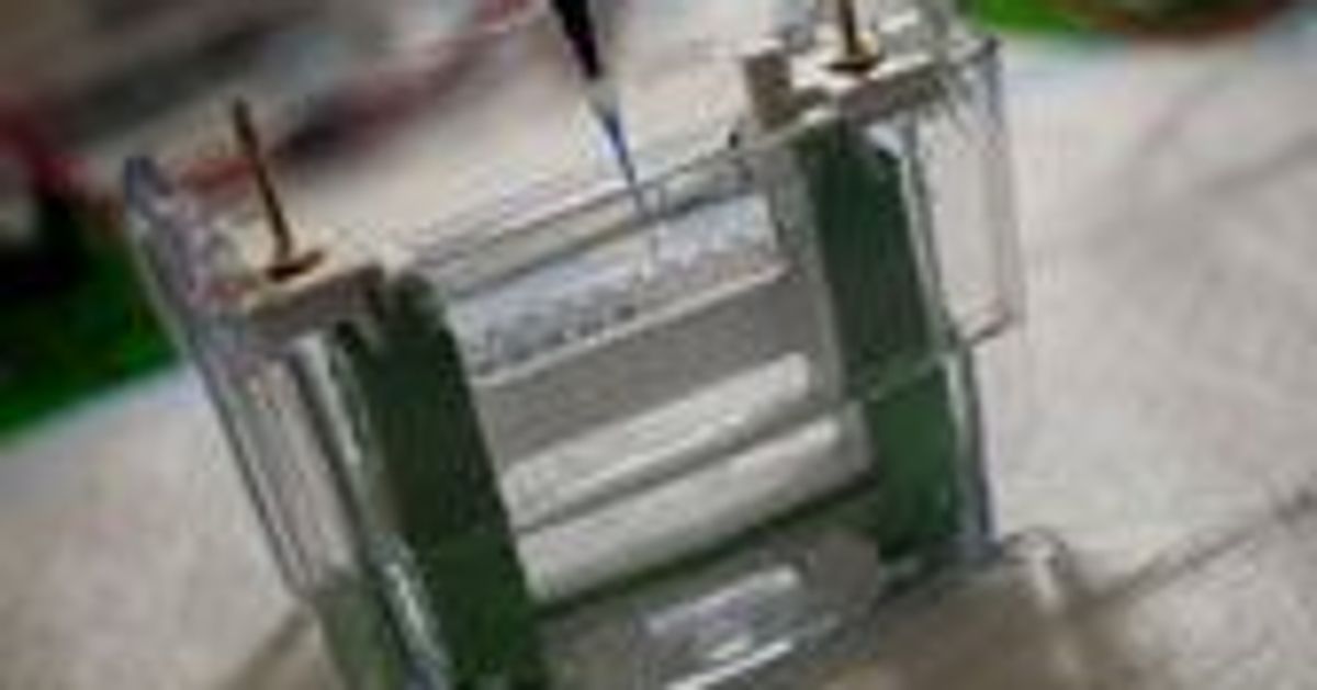 Bio-Rad Introduces New Mini-PROTEAN® TGX Stain-Free™ Precast Gels