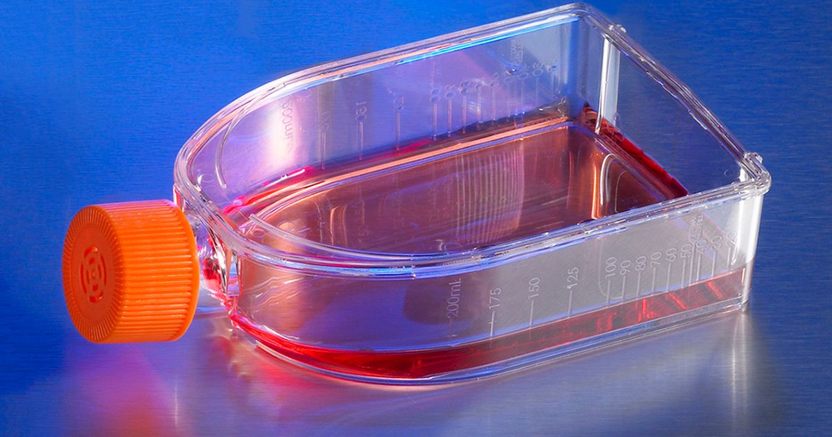 Corning® Ultra-Low Attachment 75cm² U-Flask Canted Neck Cell Culture ...