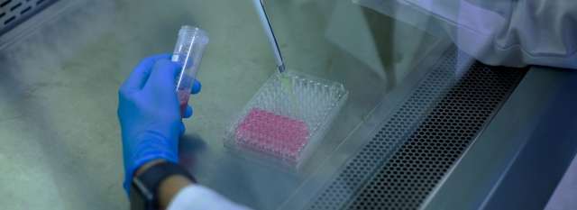 How to troubleshoot microplate assays and optimize detection