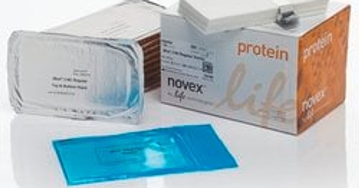 Invitrogen™ iBlot™ 2 Transfer Stacks, nitrocellulose,