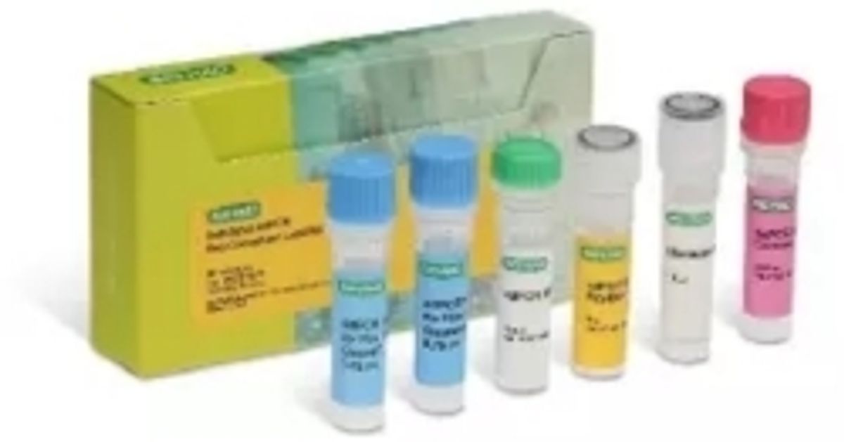 Vericheck ddPCR Replication Competent Lentivirus Kit