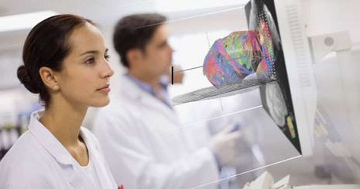 ParaVision® 6 Preclinical MRI Software reviews