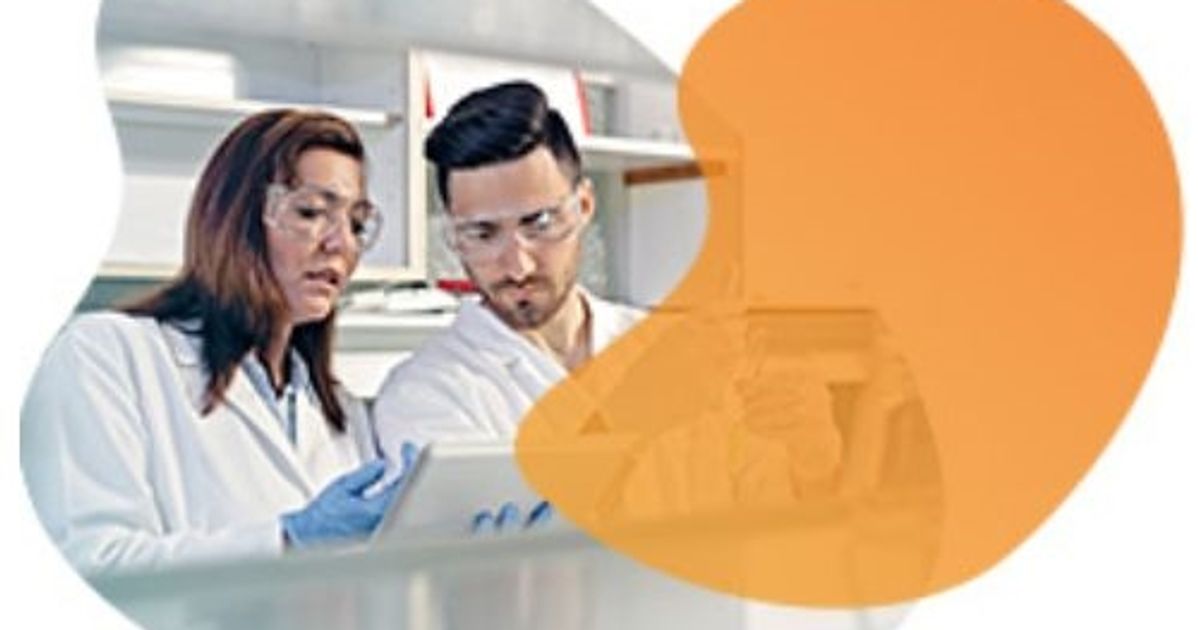 PCR assay design and development | SelectScience