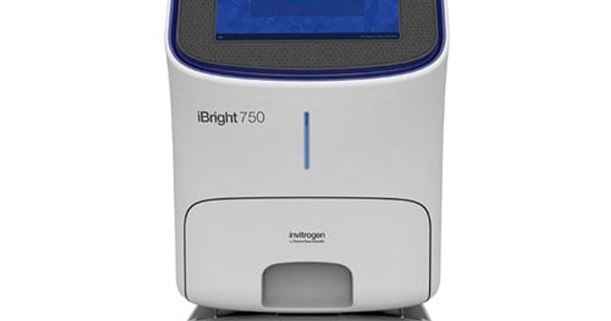 Invitrogen™ iBright™ CL750 Imaging System