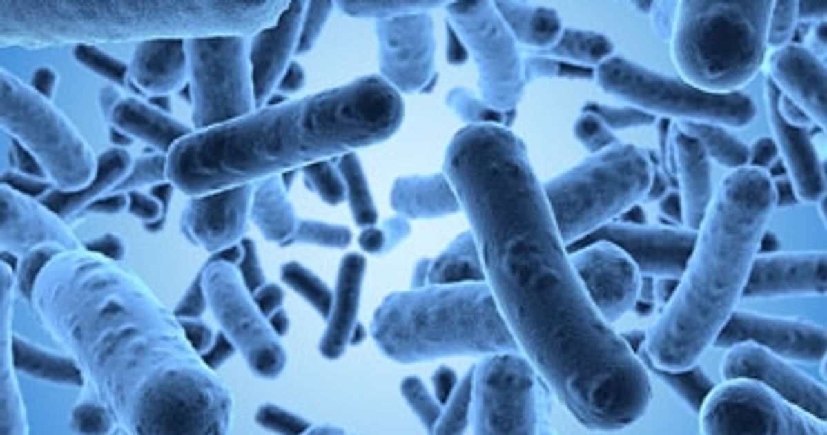 Viruses Found to Be the Most Common Cause of Meningitis