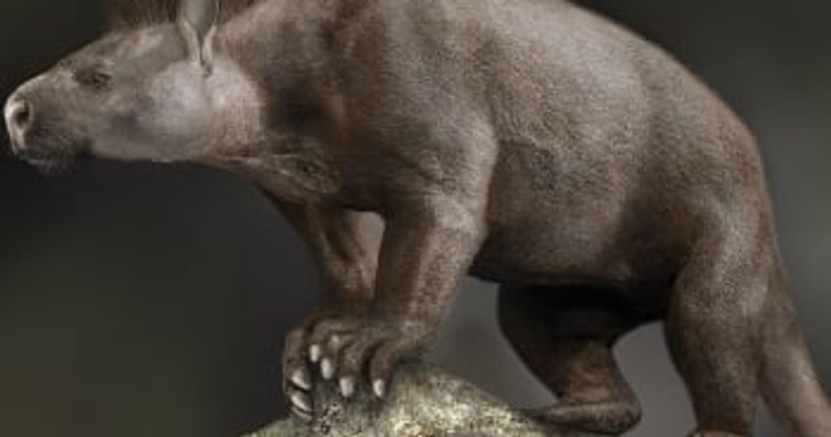 Ankle and foot bone evolution gave prehistoric mammals a leg up