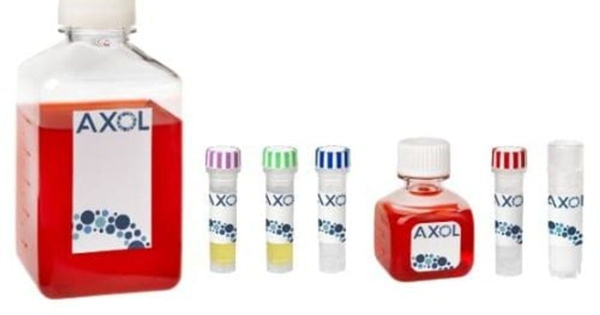 axoCells™ Human iPSC-Derived Cortical Neuron Cells, Media, Supplements ...