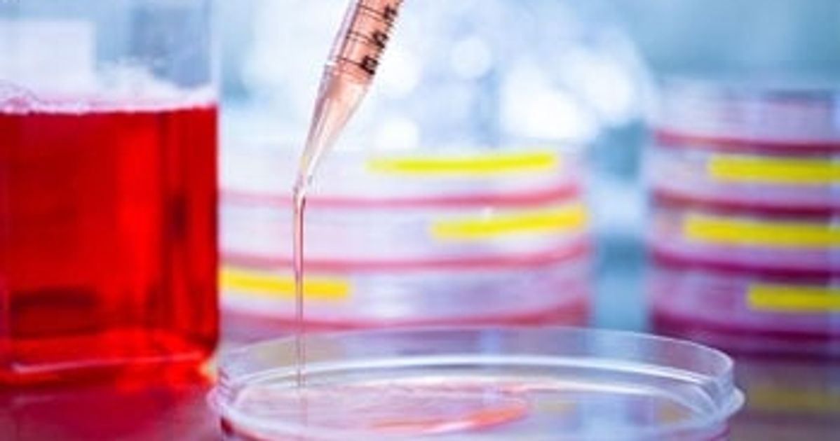 Cell Culture: Safe and Effective Lab Setup