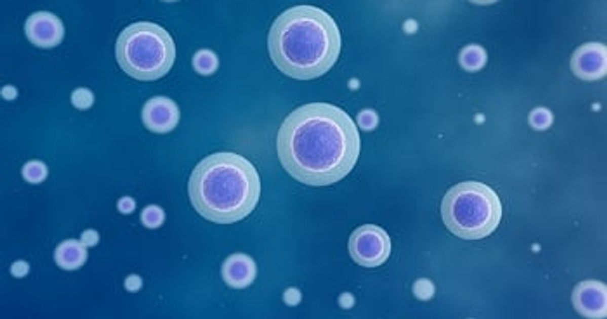 Advancing Cancer Research Using High Throughput Screening in Cancer ... Advancing Cancer Research Using High Throughput Screening in Cancer ...