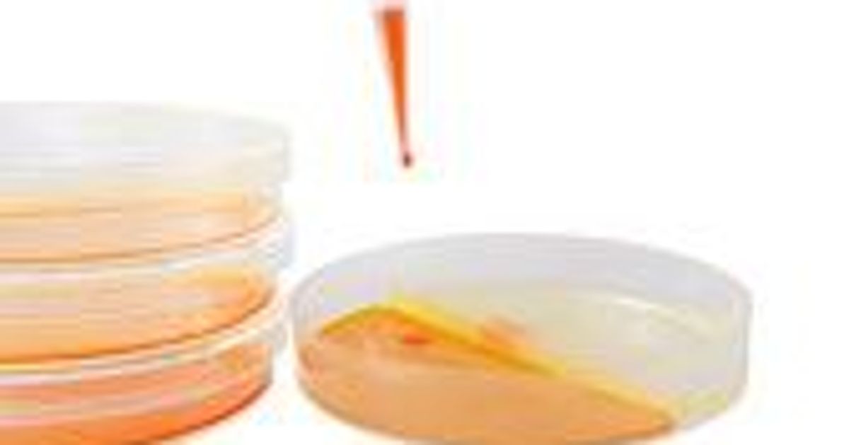 Corning Incorporated Expands its Life Sciences Product Portfolio to ...