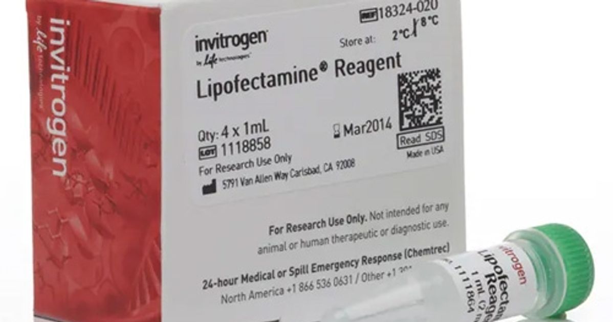 Lipofectamine™ Transfection Reagent