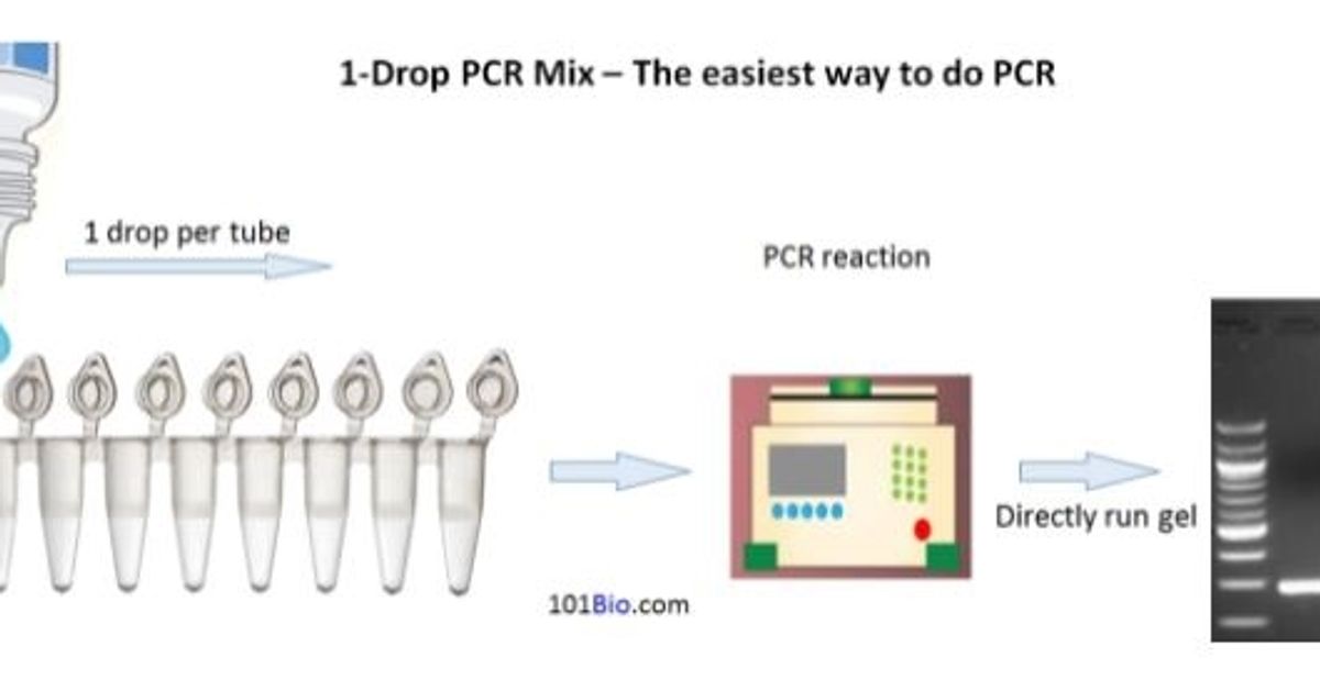 1-Drop PCR Master Mix