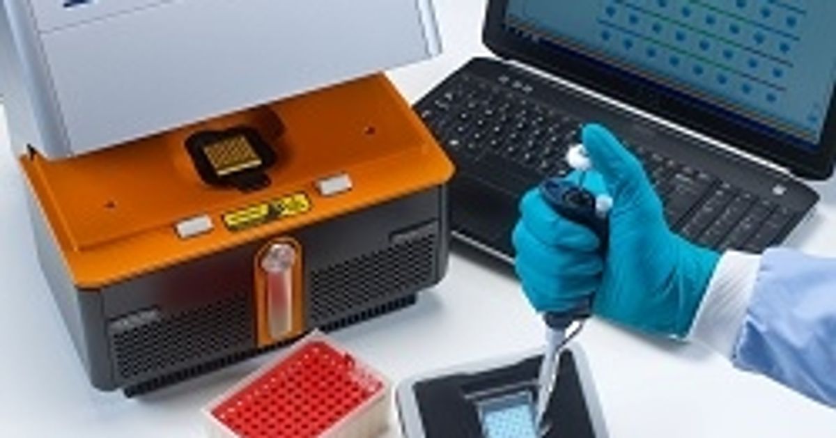 Techne PCR Detection Methods for Flavour Spoilage Yeast Could Prevent ...