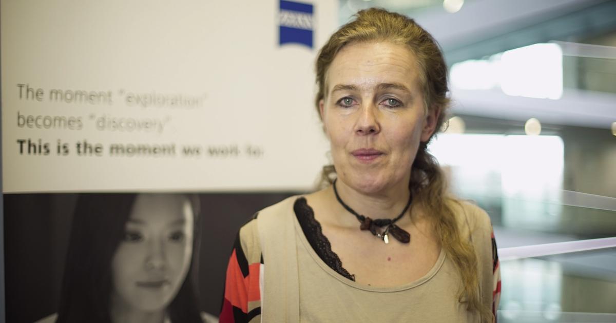 Innovating Energy Storage Materials using Correlative Microscopy