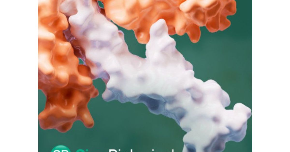 Recombinant FcγR and FcRn Proteins