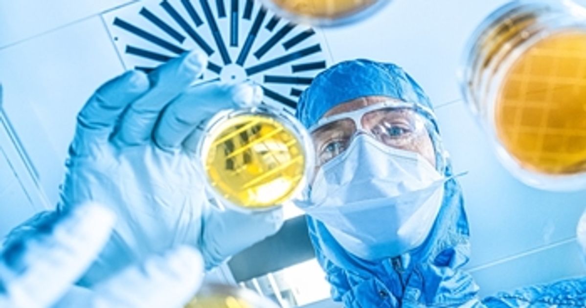 RheinCell Therapeutics achieves milestone GMP certification to ...