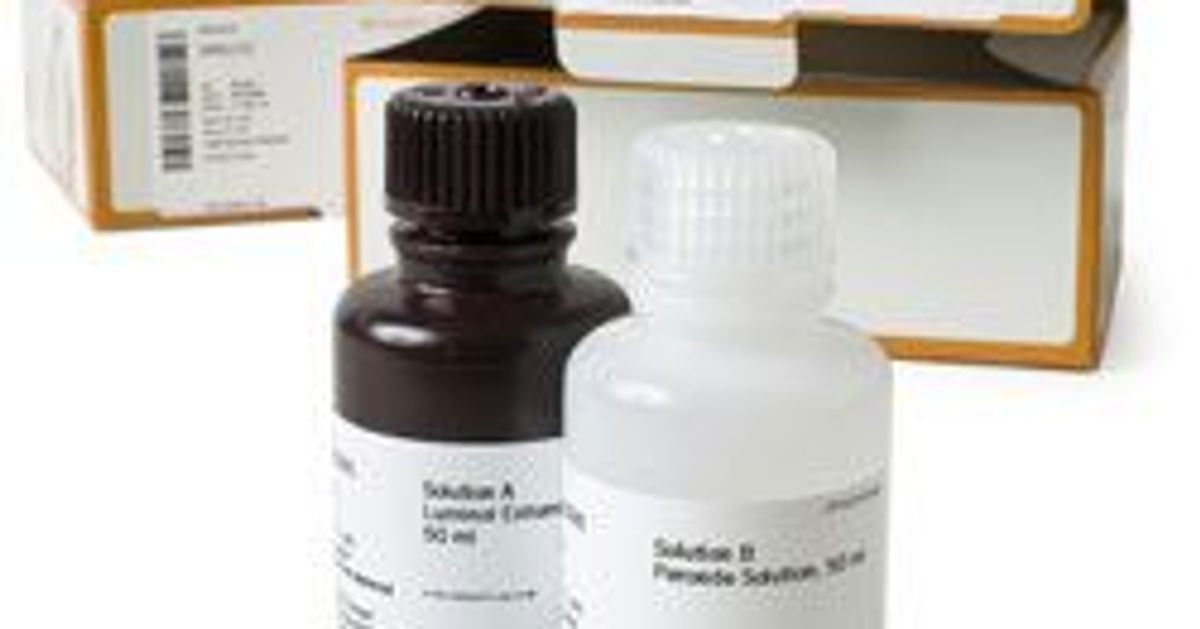 GE Healthcare Launches Amersham ECL Prime Chemiluminescent Western ...