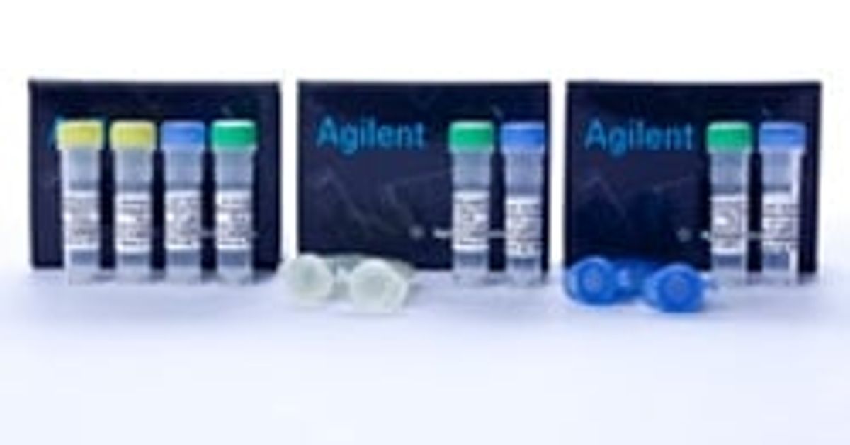 XL1-Blue MRF’ Electroporation-Competent Cells