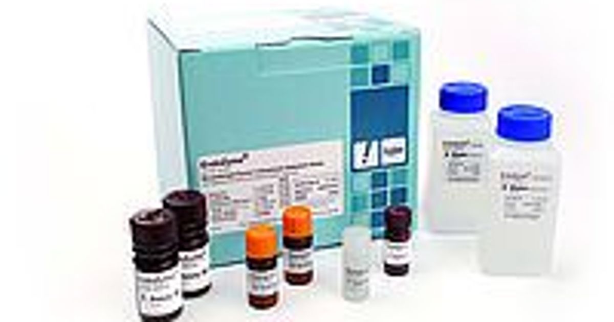 Hyglos Introduces EndoZyme for Endotoxin Detection