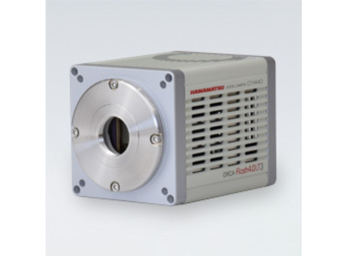 Thermo Scientific™ PageRuler™ Plus Prestained Protein Ladder, 10 to 250 kDa