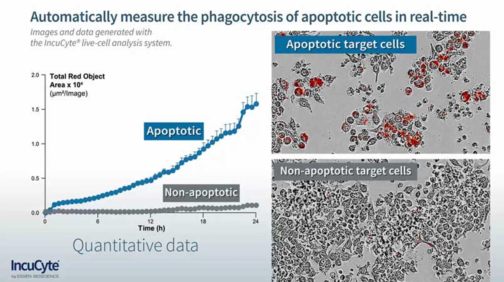 Incucyte® Live-Cell Analysis Systems from Sartorius Group reviews