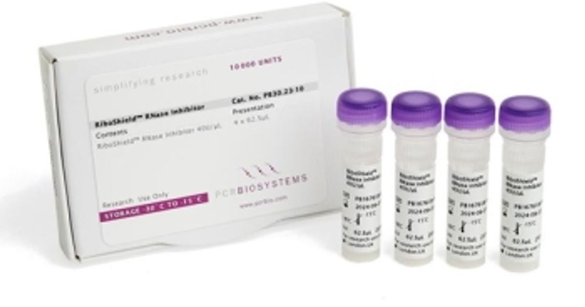 PCR Biosystems launches RiboShield RNase Inhibitor to ensure reliable ...