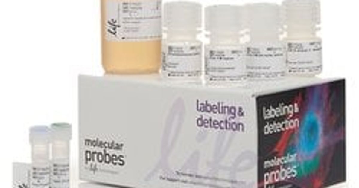 Buy Invitrogen™ Click-iT™ EdU Alexa Fluor™ 647 Flow Cytometry Assay Kit ...
